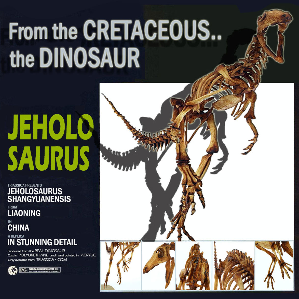 Jeholosaurus Skeleton Replica Fossil – Triassica