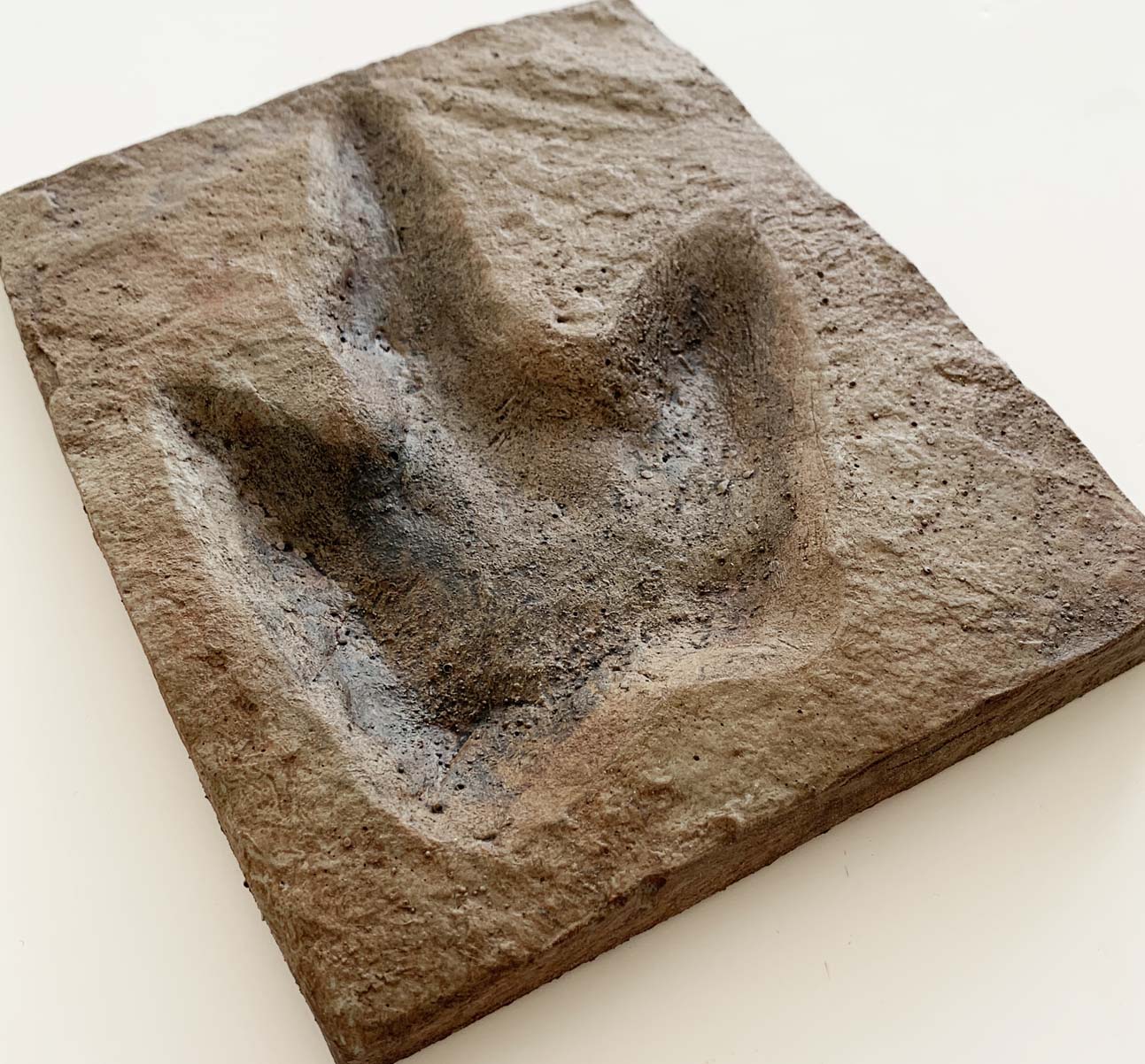 RAPTOR Footprint Replica - COMING SOON – Triassica