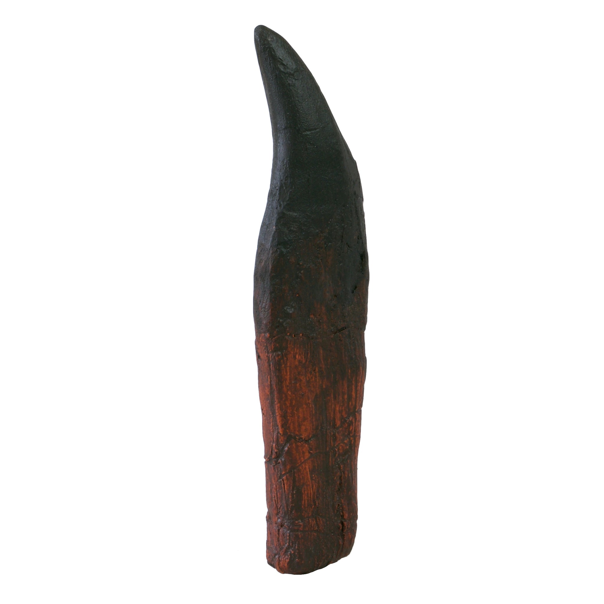 Large T.Rex Tooth Replica Fossil – Triassica