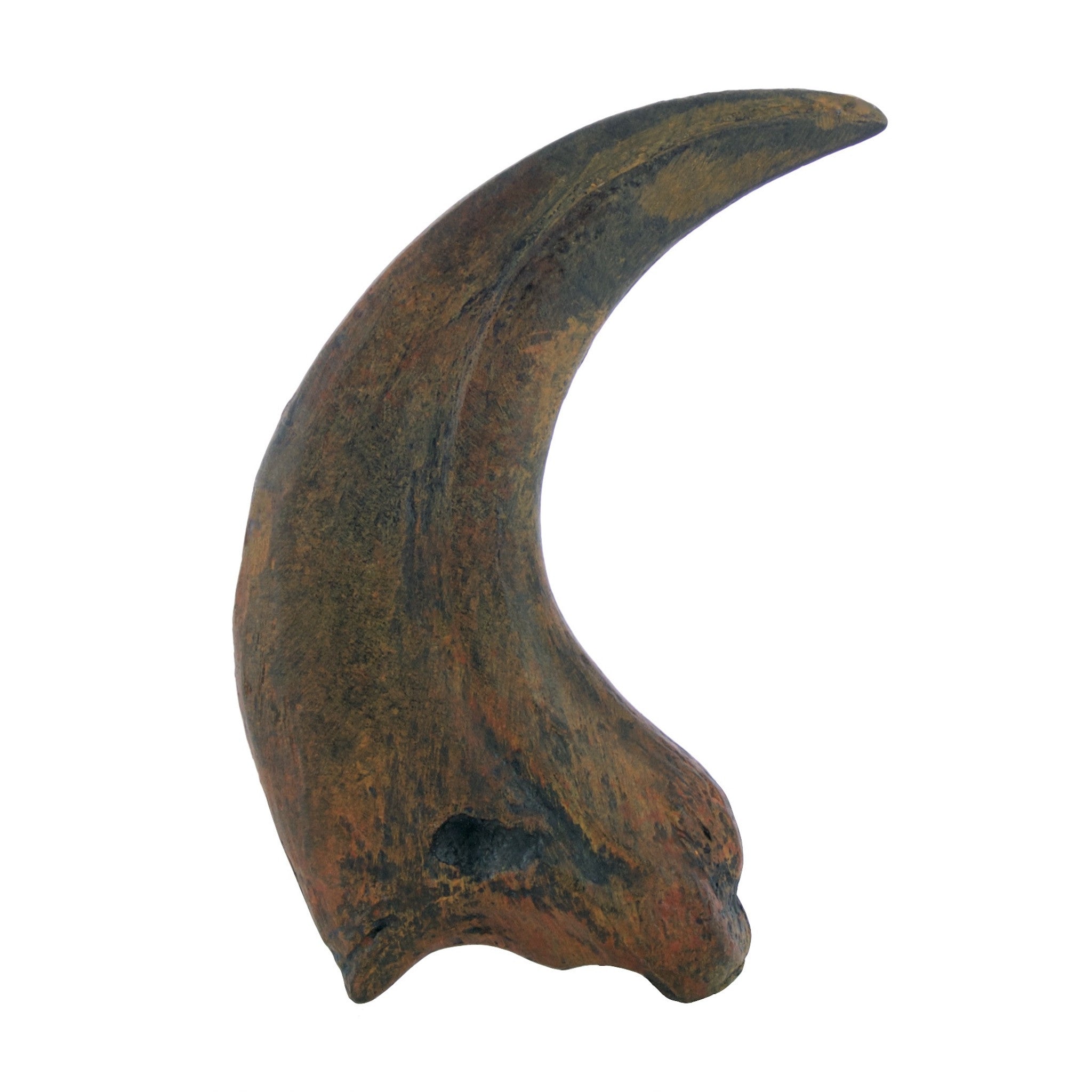 Raptor Claw Replica Dinosaur Fossil TRIASSICA – Triassica