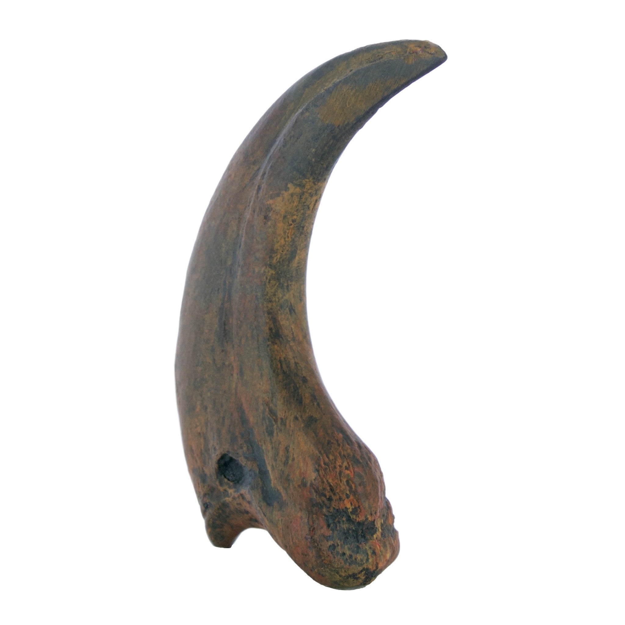 Raptor Claw Replica Dinosaur Fossil TRIASSICA – Triassica